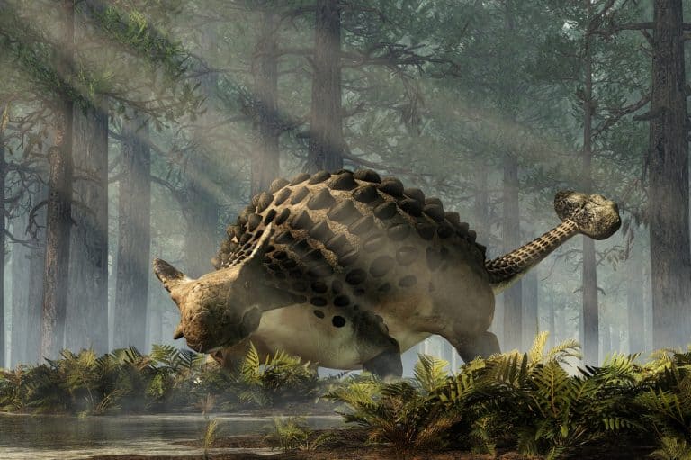 18 Most Dangerous Dinosaurs That Ever Walked the Earth