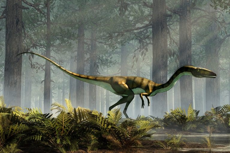 18 Most Dangerous Dinosaurs That Ever Walked the Earth