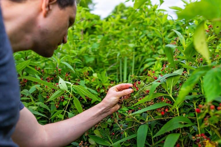 The 75 Best Outdoor Hobbies for Men
