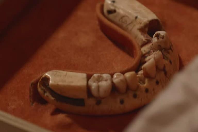 11 Weird History Stories You Have To Read To Believe
