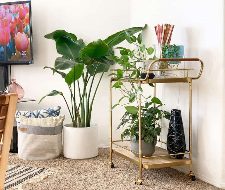 Create a Sophisticated Drink Station with Creative Bar Cart Ideas