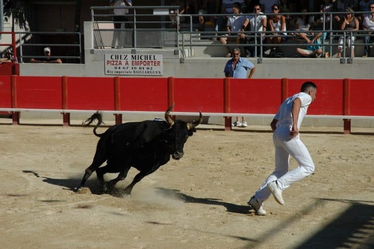 30 Extreme Hobbies Every Man Should Try