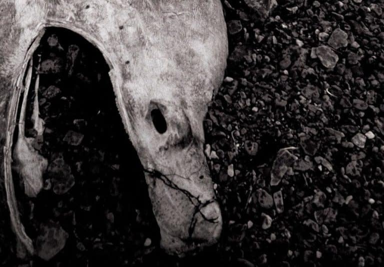 12 Ocean Mysteries That Have Baffled Humans for Centuries