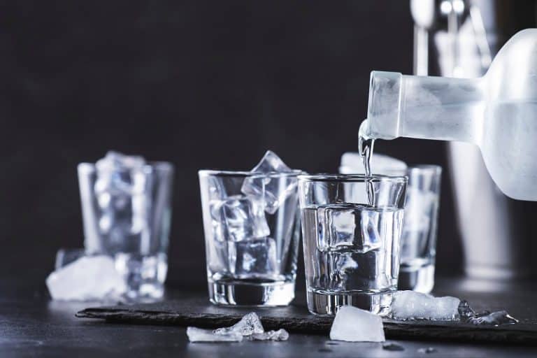 Beginner's Guide: How To Drink Vodka