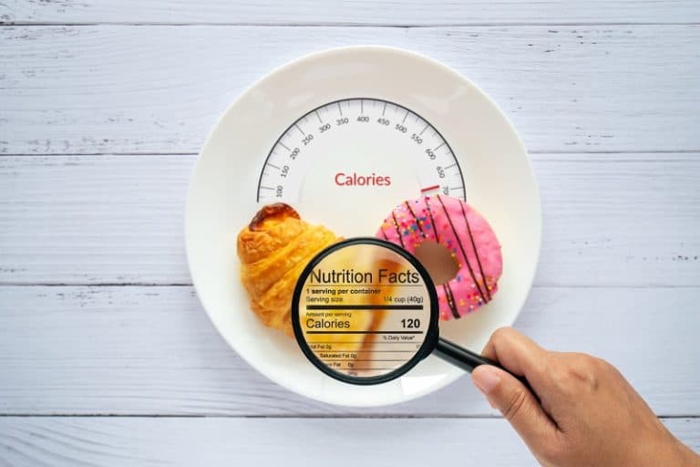 How To Safely Count Calories and Stay Healthy – Domajax