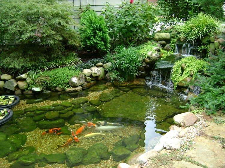 The 100 Best Backyard Pond Ideas Landscaping Inspiration Online