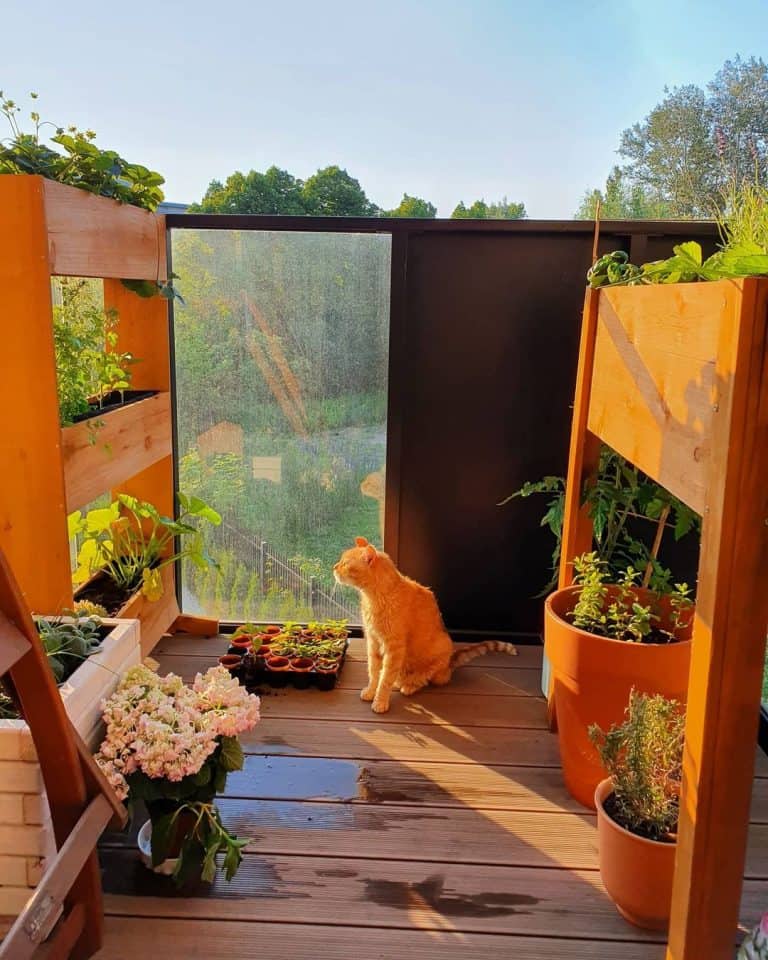Innovative Herb Garden Ideas for Your Home