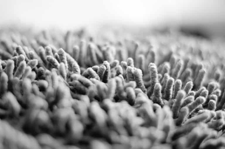 Cool and Fascinating Things to View Under a Microscope
