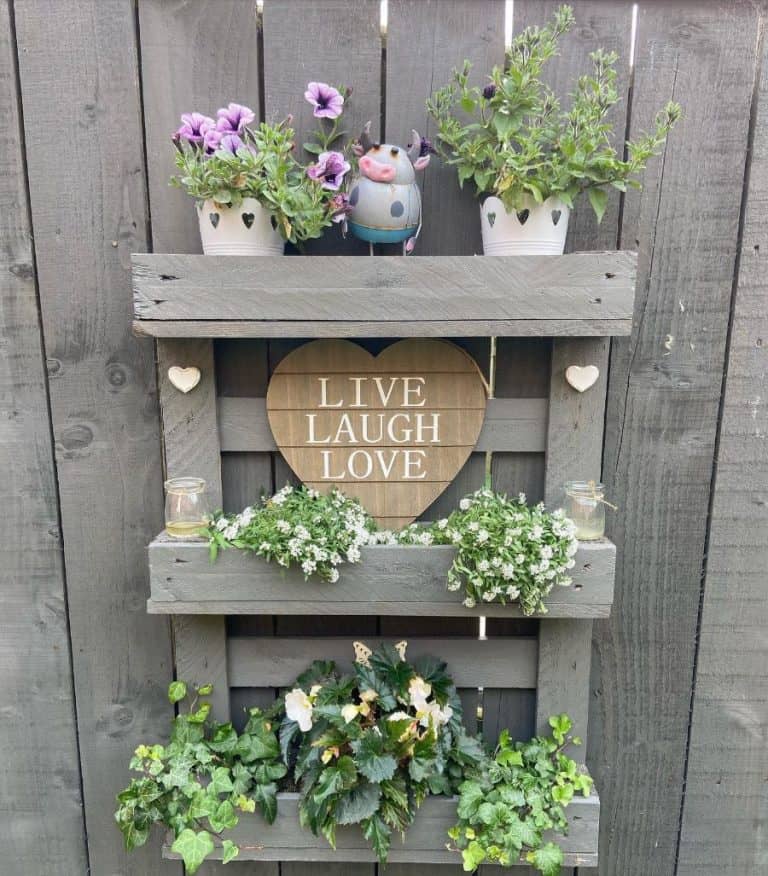Eco-Friendly and Stylish Pallet Garden Designs for Your Home