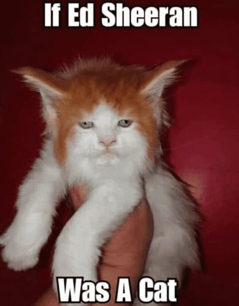 Memes About Ed Sheeran That Will Brighten Your Day