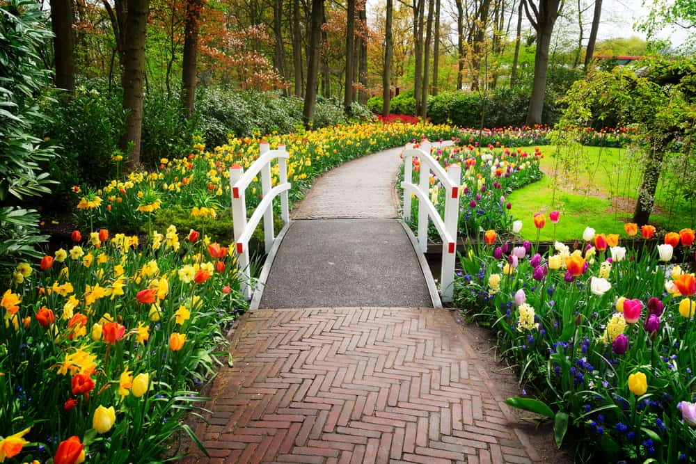 Walkway Flower Garden Ideas Walkway Flower Garden Ideas