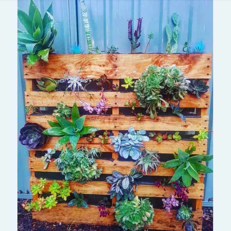 Eco-Friendly and Stylish Pallet Garden Designs for Your Home
