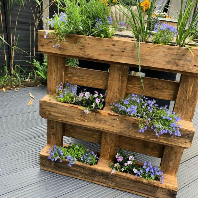 Eco-Friendly and Stylish Pallet Garden Designs for Your Home