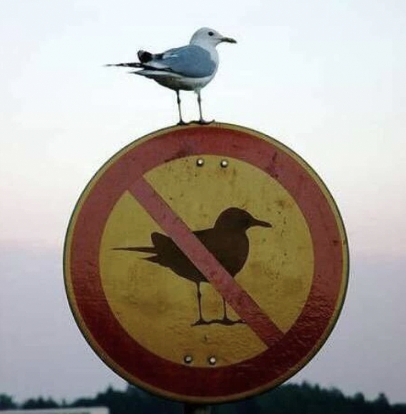 25 Funny Signs That Will Give You a Chuckle