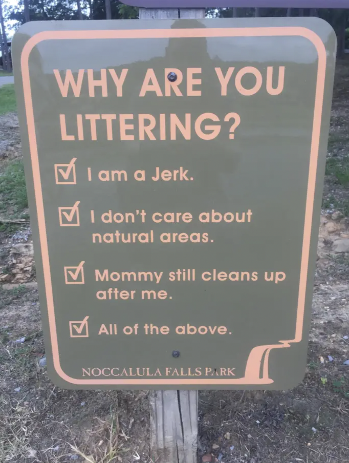 25 Funny Signs That Will Give You a Chuckle
