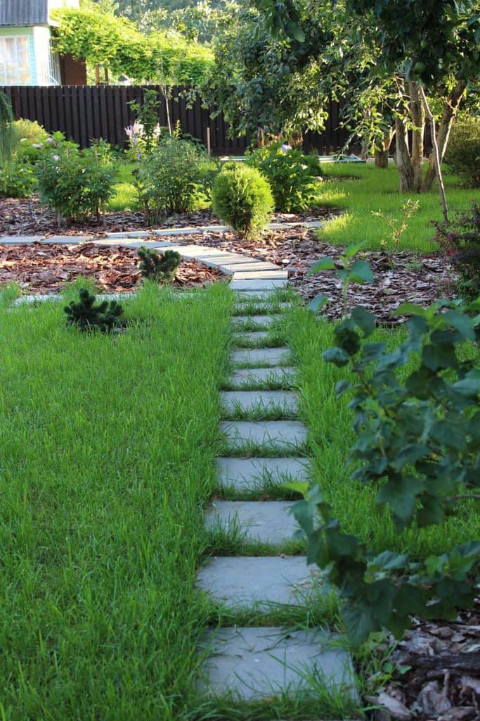Creative Shade Garden Ideas for Refreshing Cool Spaces