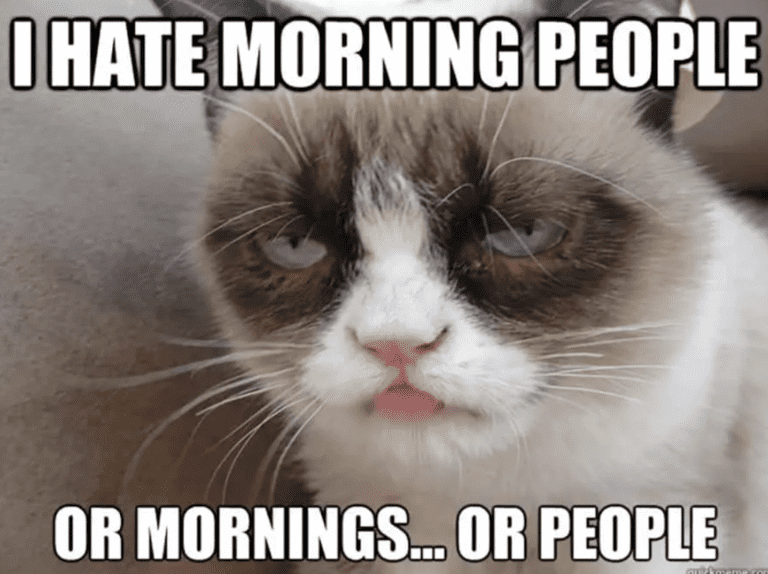 30 Funny Good Morning Memes To Get Your Day Off To a Good Start