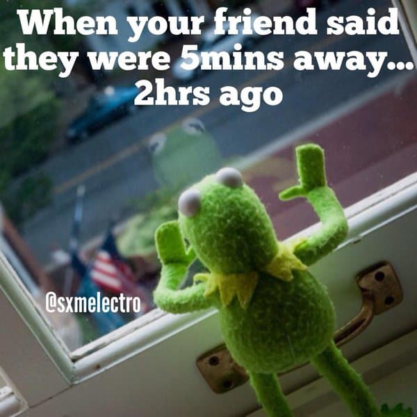 Kermit the Frog Memes That Will Brighten Your Day