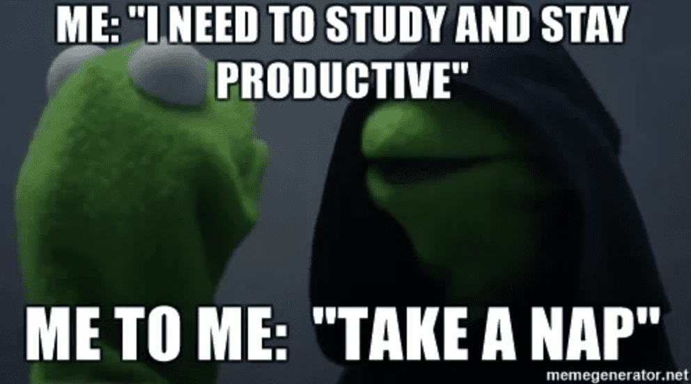 Kermit the Frog Memes That Will Brighten Your Day