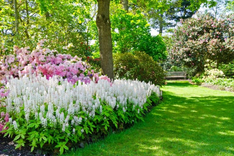 Creative Shade Garden Ideas for Refreshing Cool Spaces