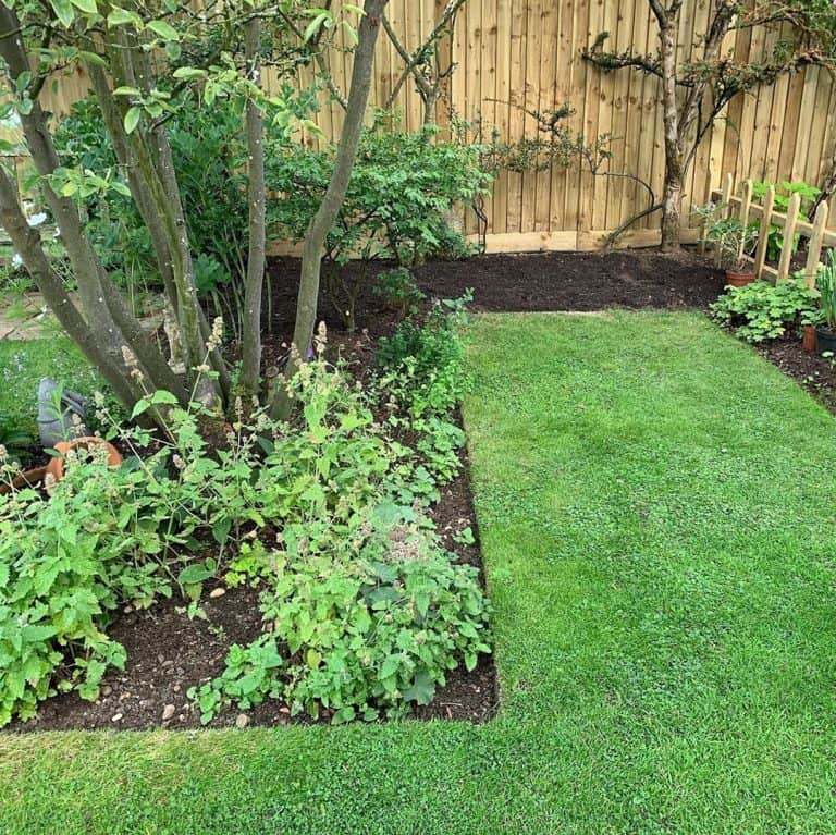 Creative Shade Garden Ideas for Refreshing Cool Spaces