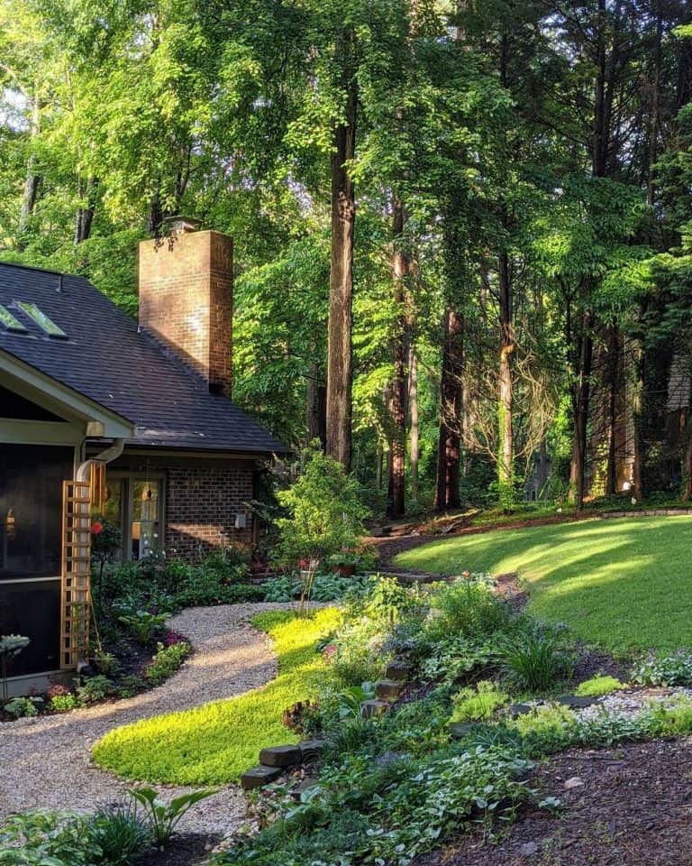 Creative Shade Garden Ideas for Refreshing Cool Spaces