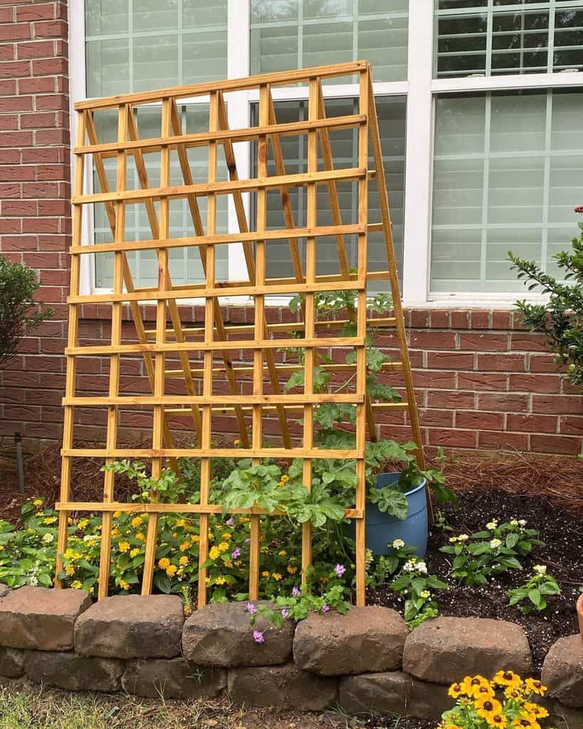 Stylish and Supportive Garden Trellis Design Ideas
