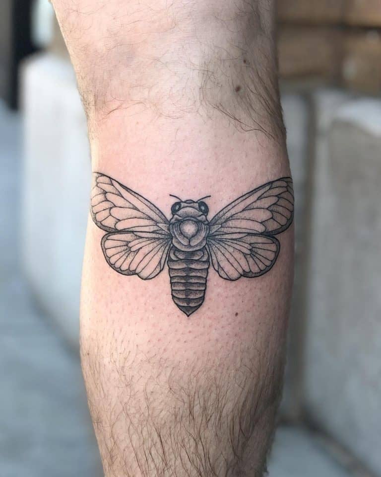 70 Inspiring Cicada Tattoo Ideas