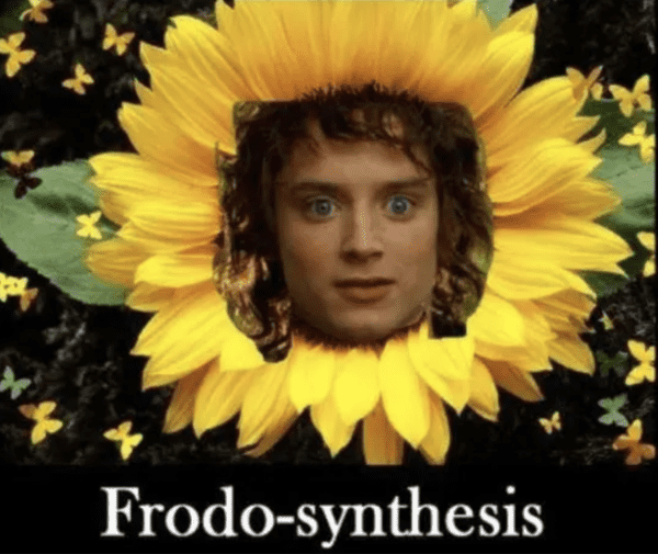 Lord of the Rings Memes That Fans Will Love