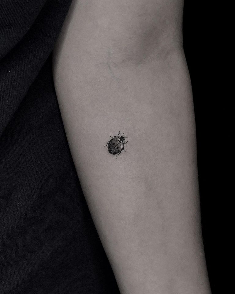 31 Brilliant Ladybug Tattoo Ideas