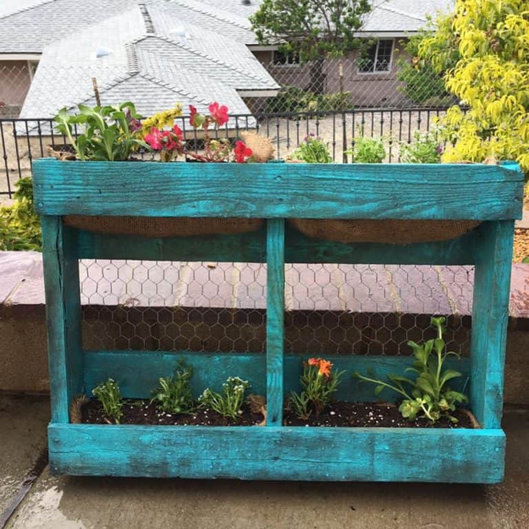 Eco-Friendly and Stylish Pallet Garden Designs for Your Home