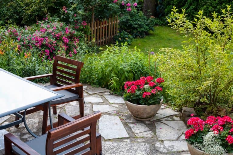 Inspiring Flower Garden Ideas for Your Outdoor Haven