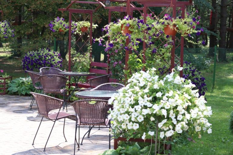 Inspiring Flower Garden Ideas for Your Outdoor Haven