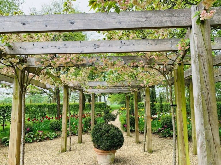 Stylish and Supportive Garden Trellis Design Ideas