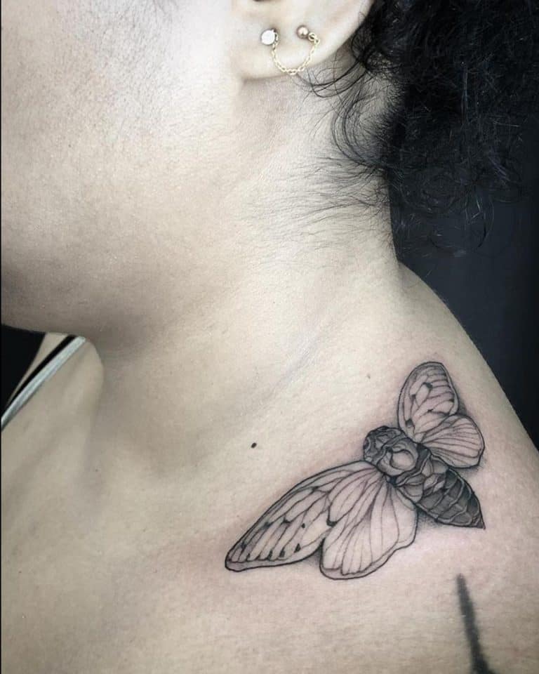 70 Inspiring Cicada Tattoo Ideas