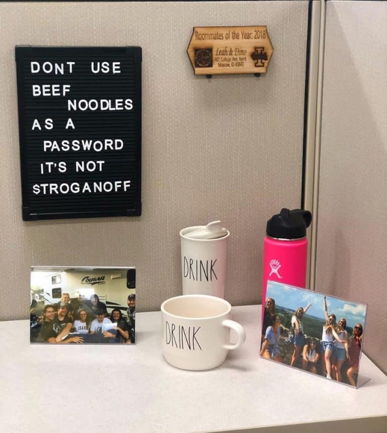 Unique Cubicle Decorations for a Motivating Work Environment