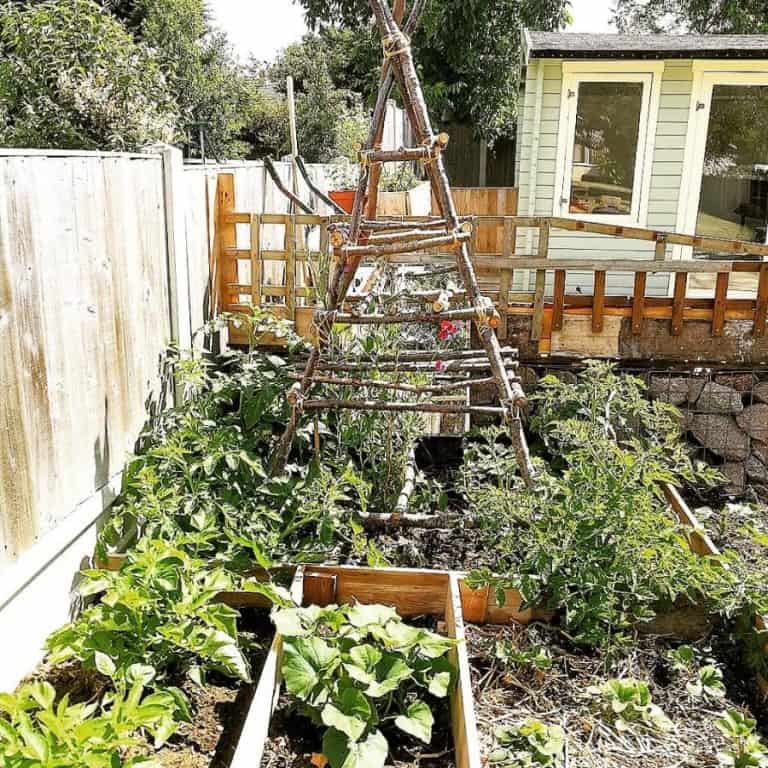 Productive and Beautiful Vegetable Garden Design Ideas