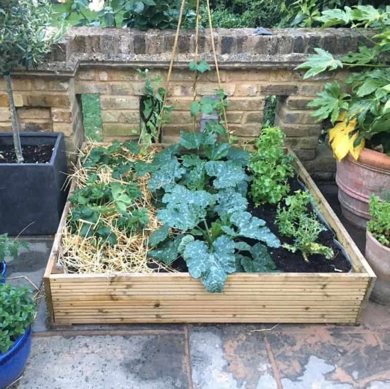 Productive and Beautiful Vegetable Garden Design Ideas