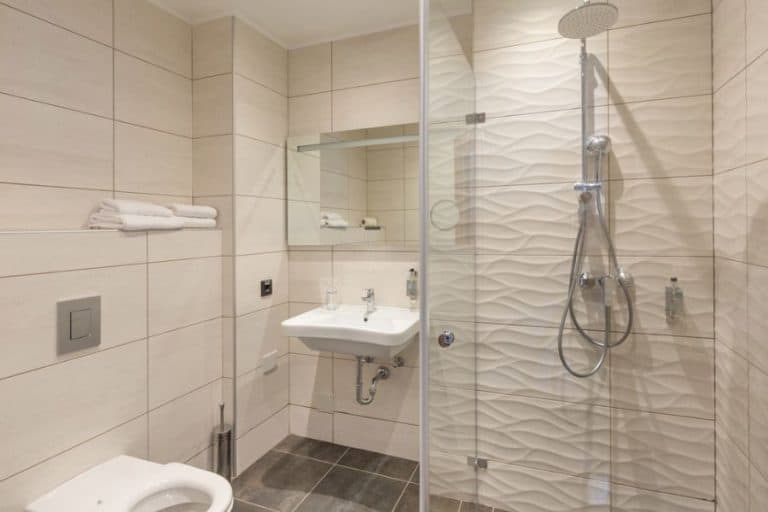 Innovative Solutions for Maximizing Small Shower Spaces