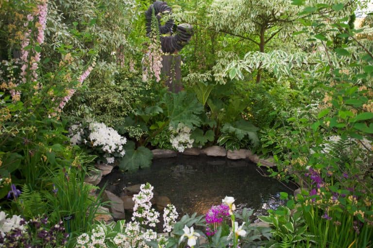 Creative Shade Garden Ideas for Refreshing Cool Spaces