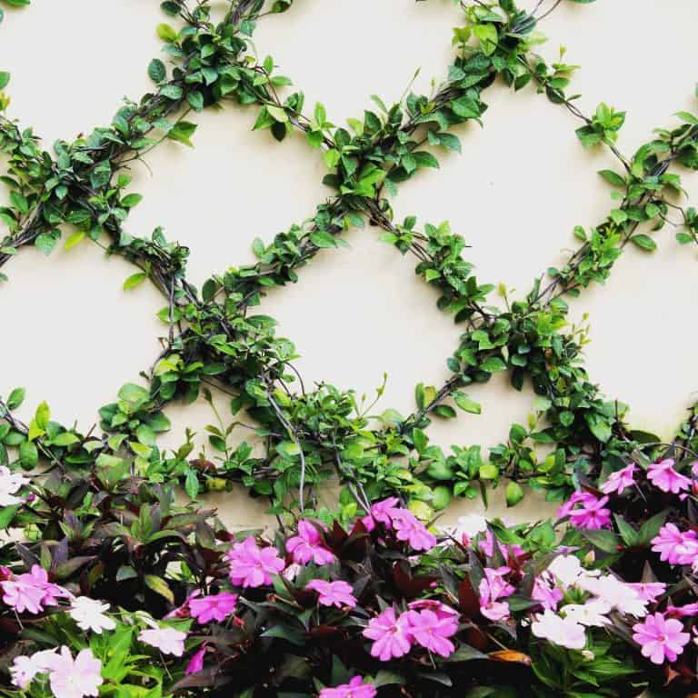 Stylish and Supportive Garden Trellis Design Ideas